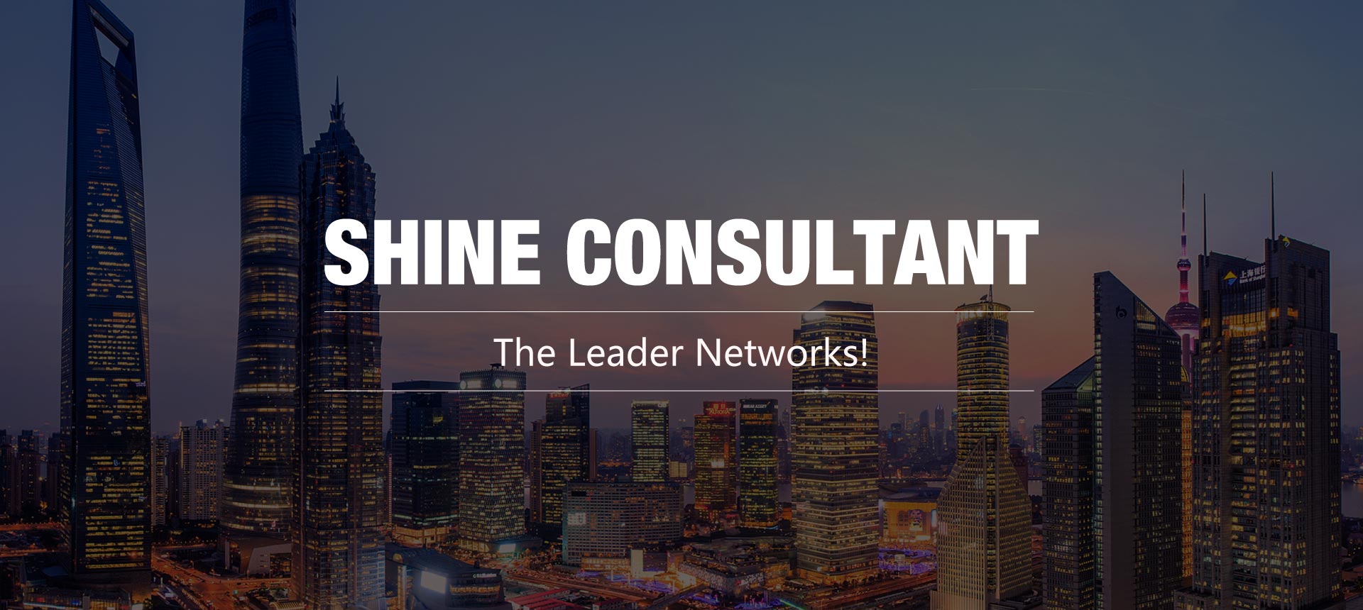 Shine Consultant
